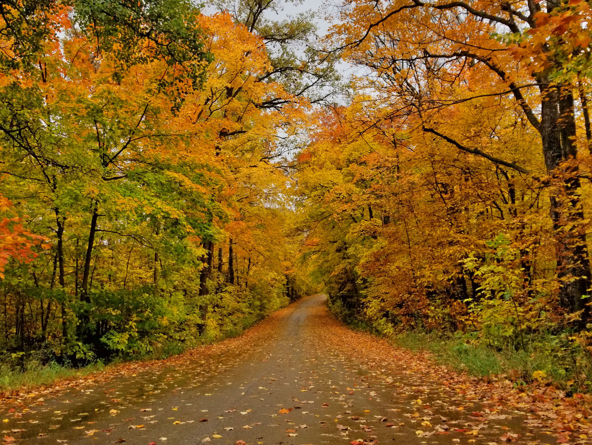Ultimate Guide for Fall Fun | Things to Do in Detroit Lakes, MN