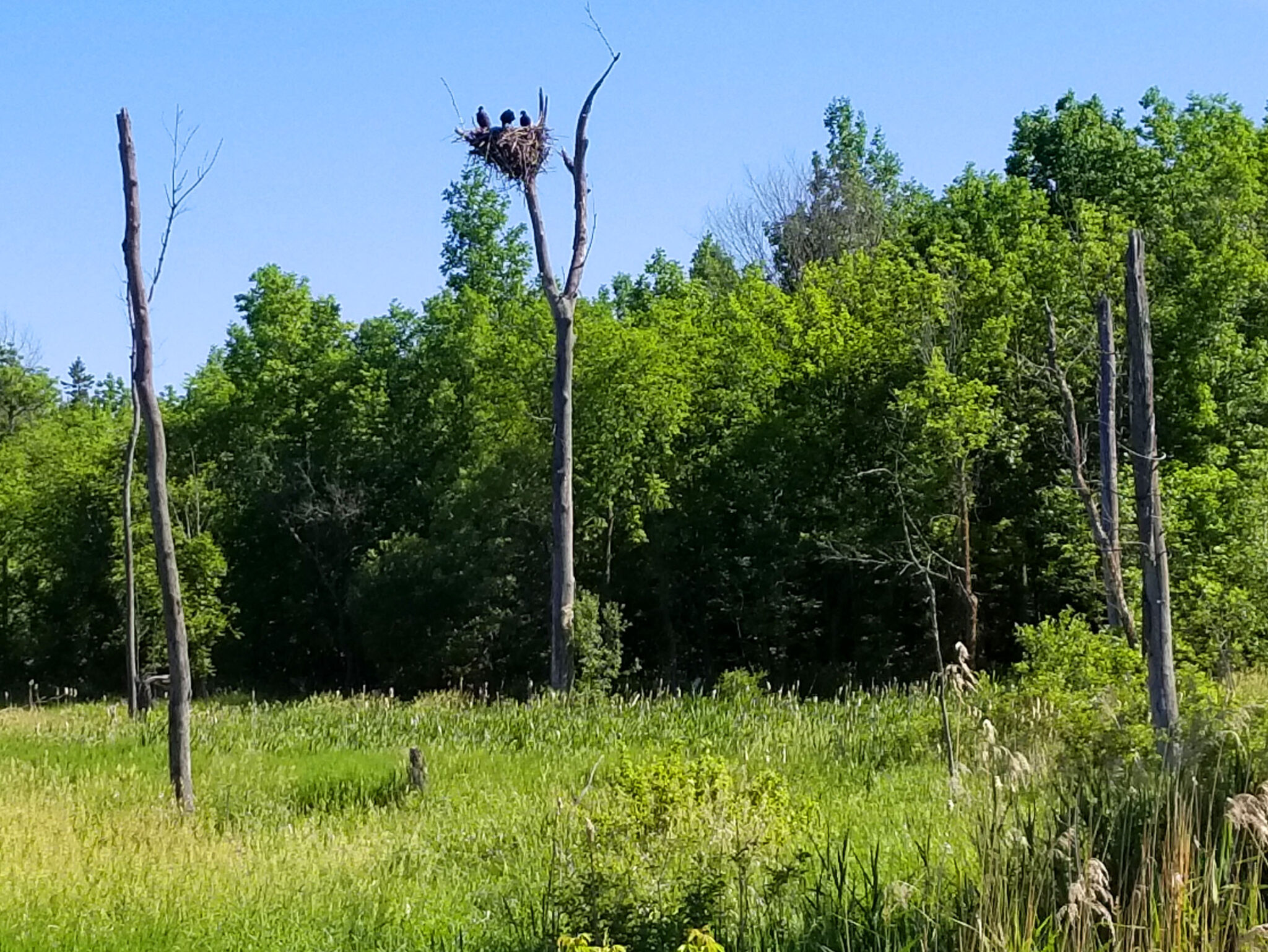 Heartland State Trail - Visit Detroit Lakes