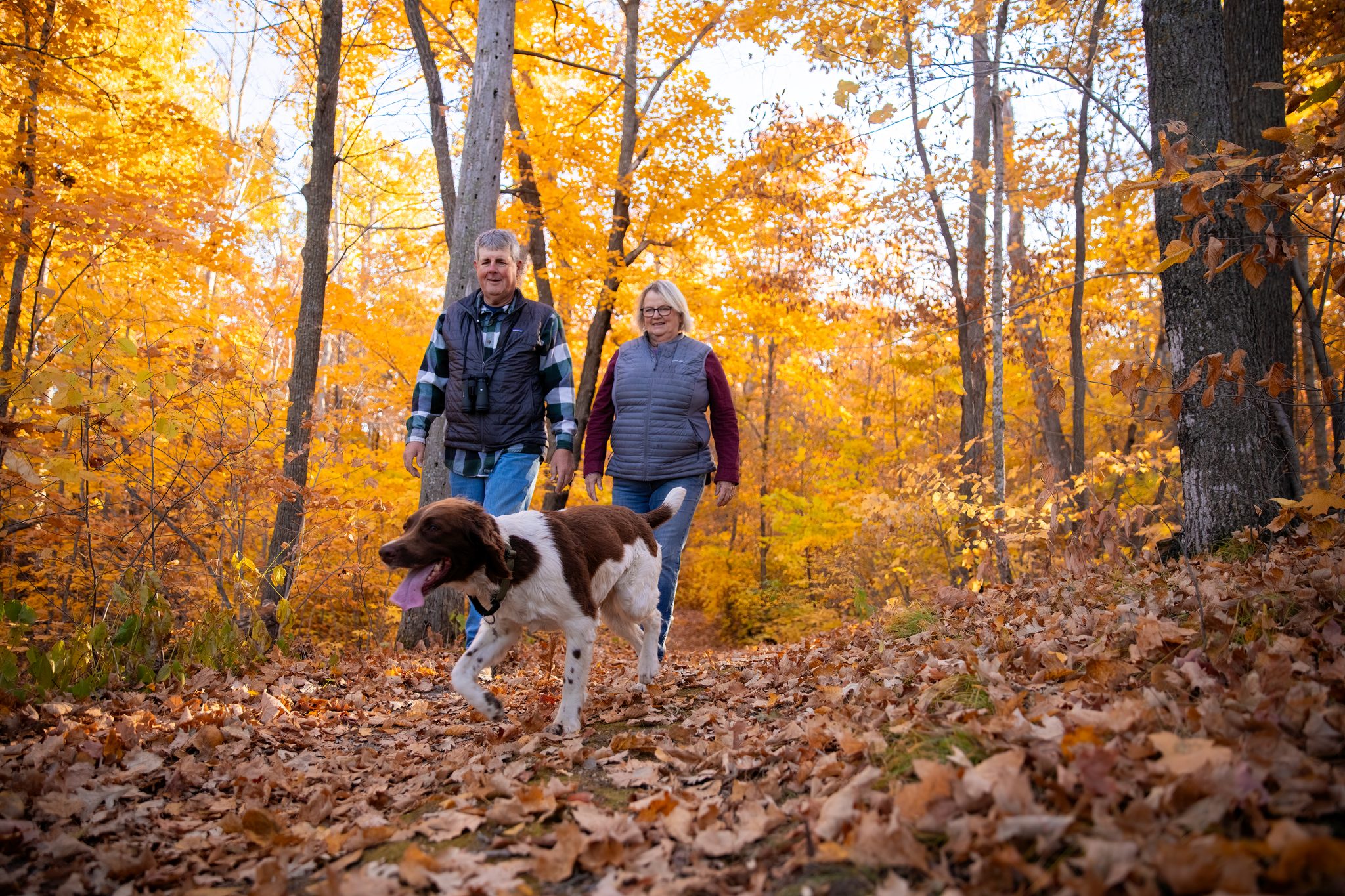 Ultimate Guide to Fall in Detroit Lakes | Things to Do in Detroit Lakes, MN