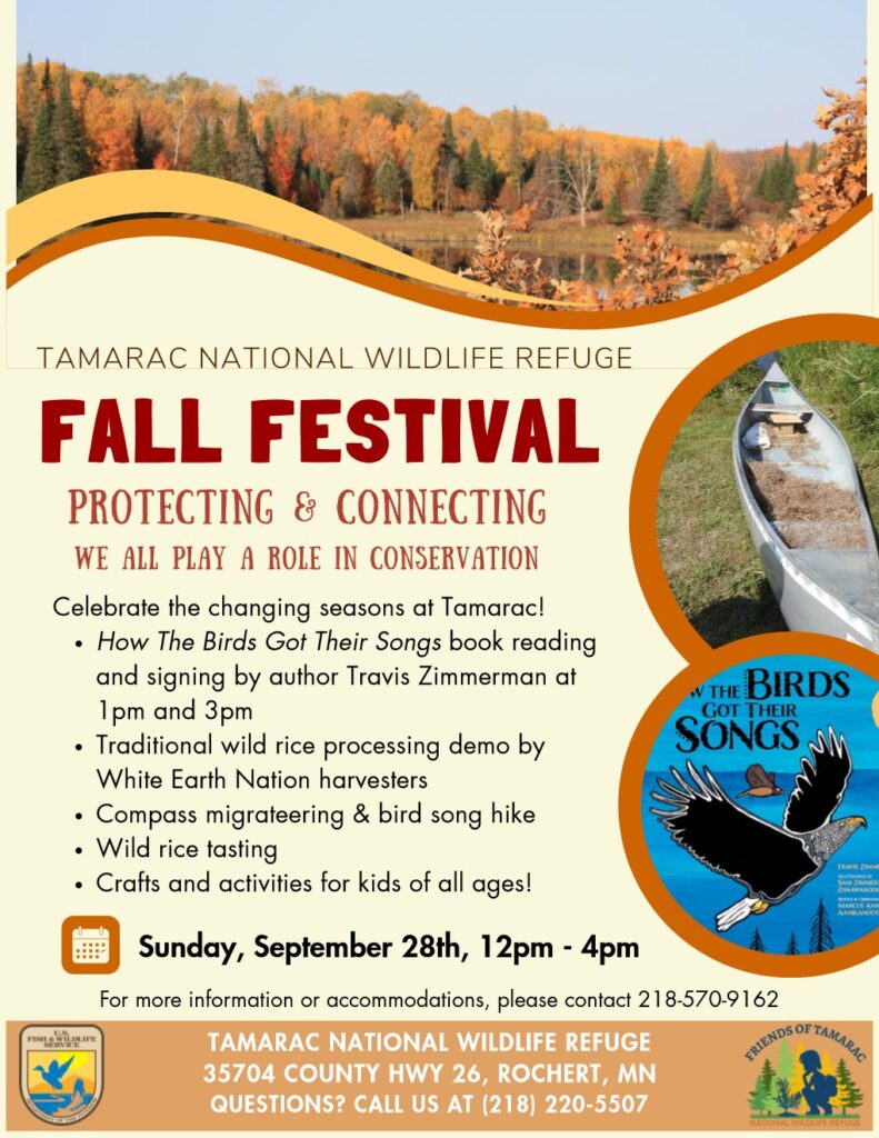 Ultimate Guide to Fall in Detroit Lakes | Things to Do in Detroit Lakes, MN