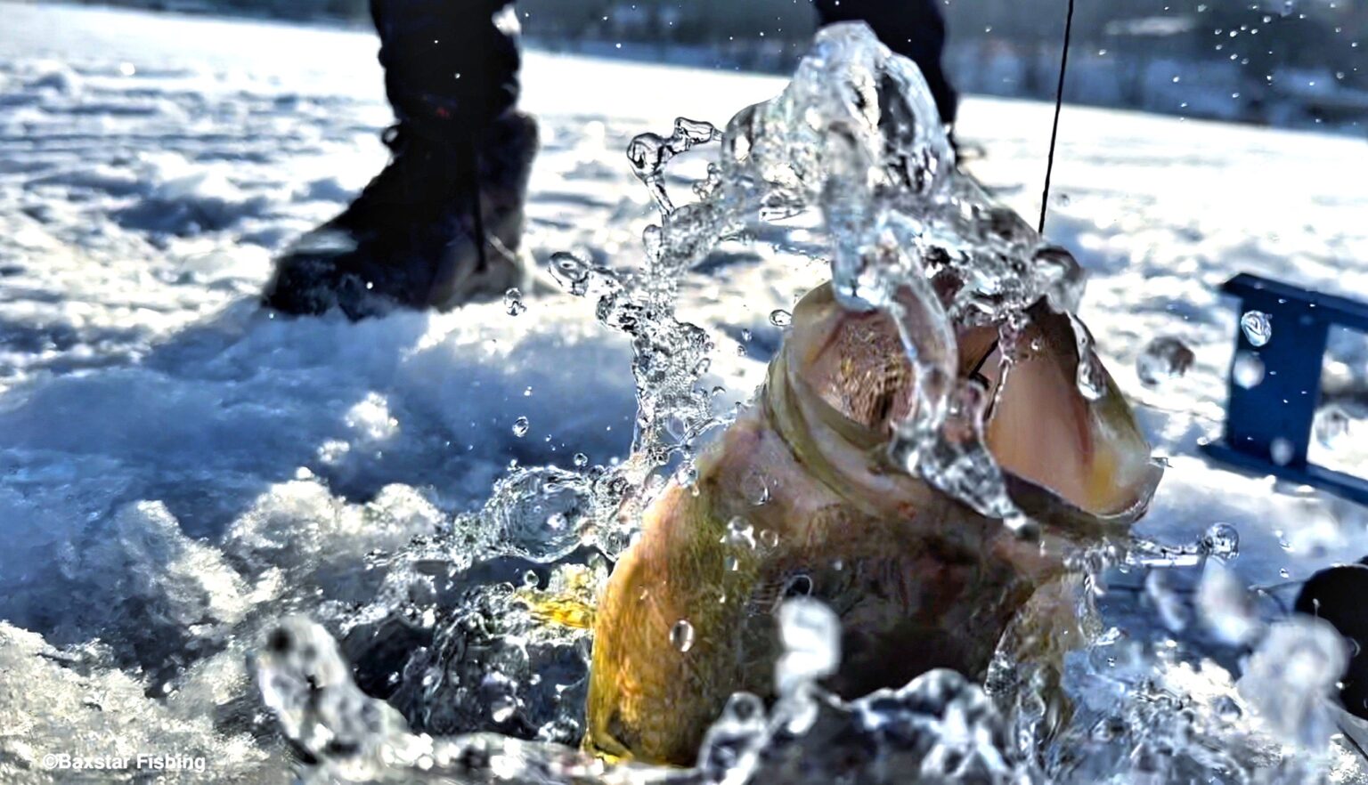 Fishing Report - Visit Detroit Lakes